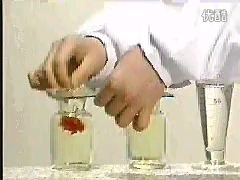 【上世纪教学视频】氯气的漂白性