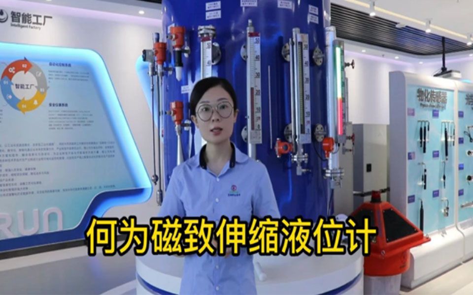 磁致伸缩液位计是什么?工作原理是怎样的?