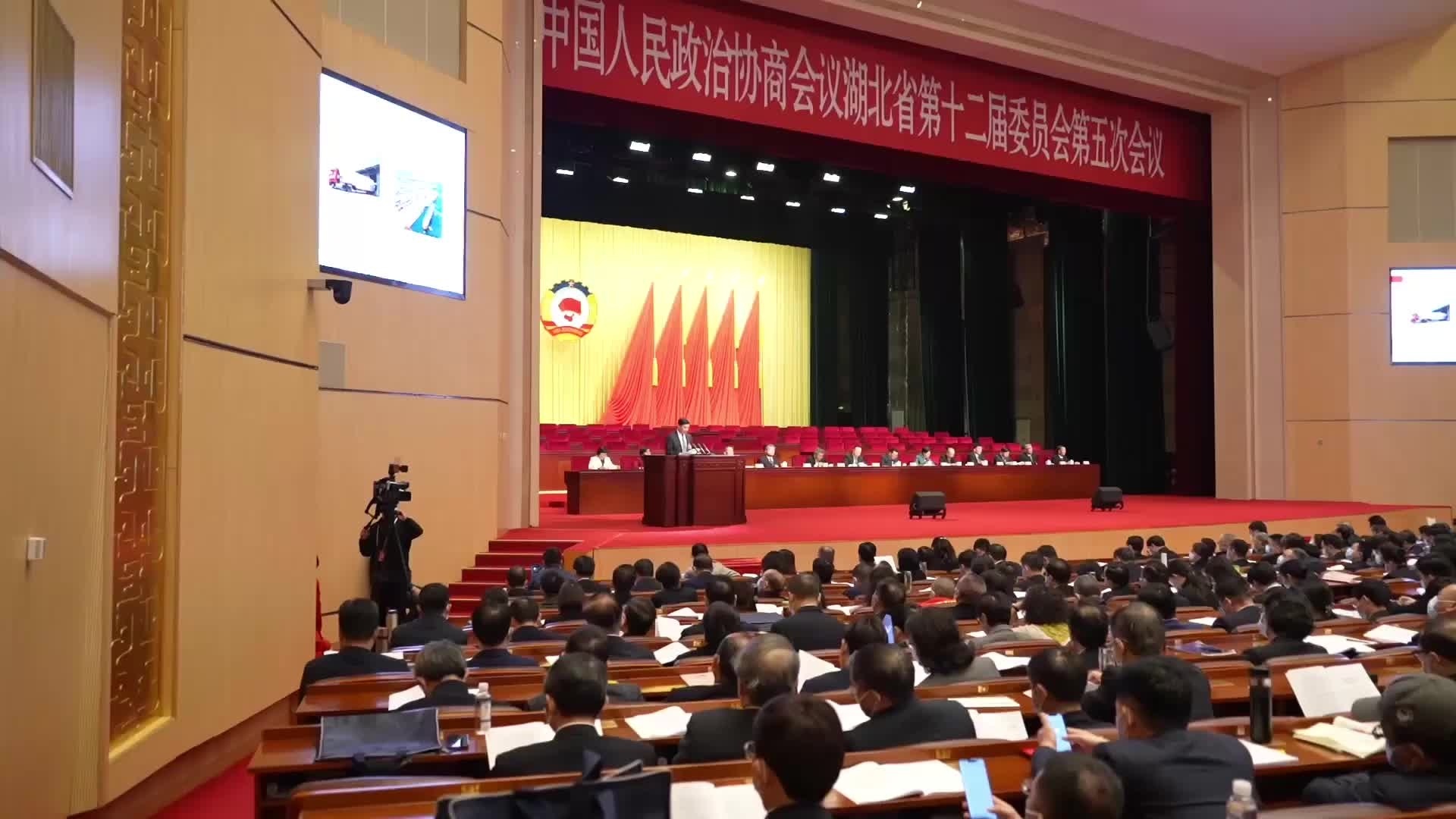 湖北省政协委员大会发言