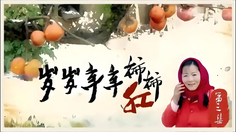 03.为了嫁给心爱之人,女人不惜下跪求人