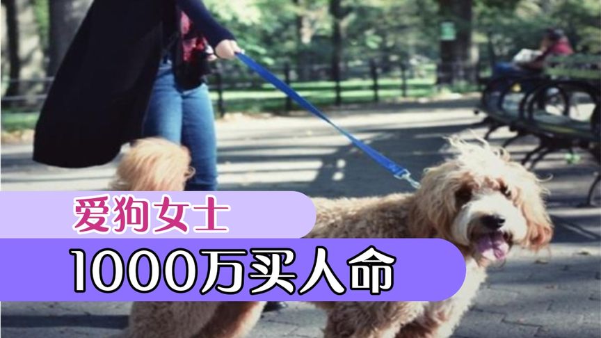 敢动我的狗,我要你小孩的命!蚌埠女子遛狗伤人,当着警察面叫嚣