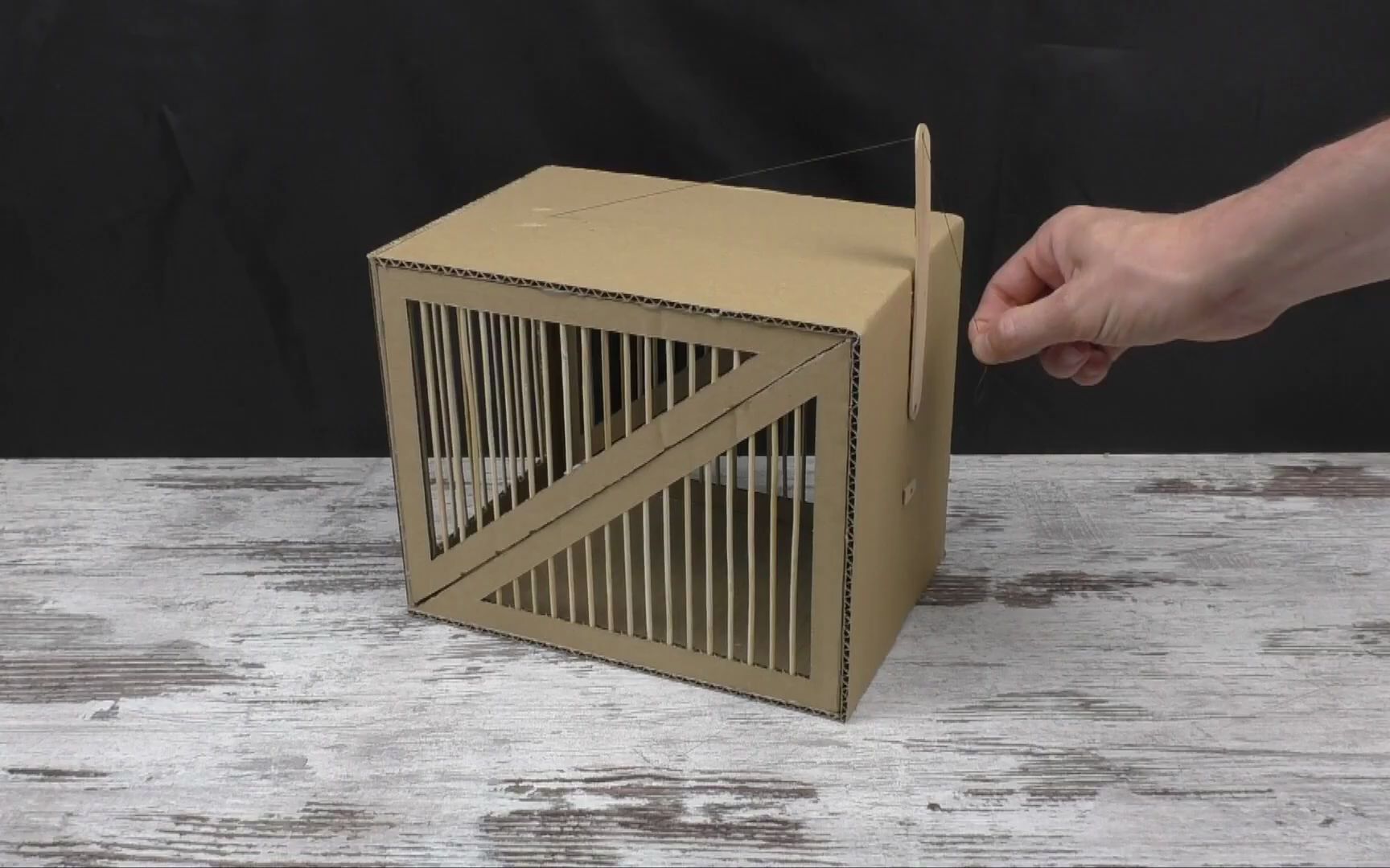 教你用纸板和竹签组装老鼠陷阱笼,方法超简单!