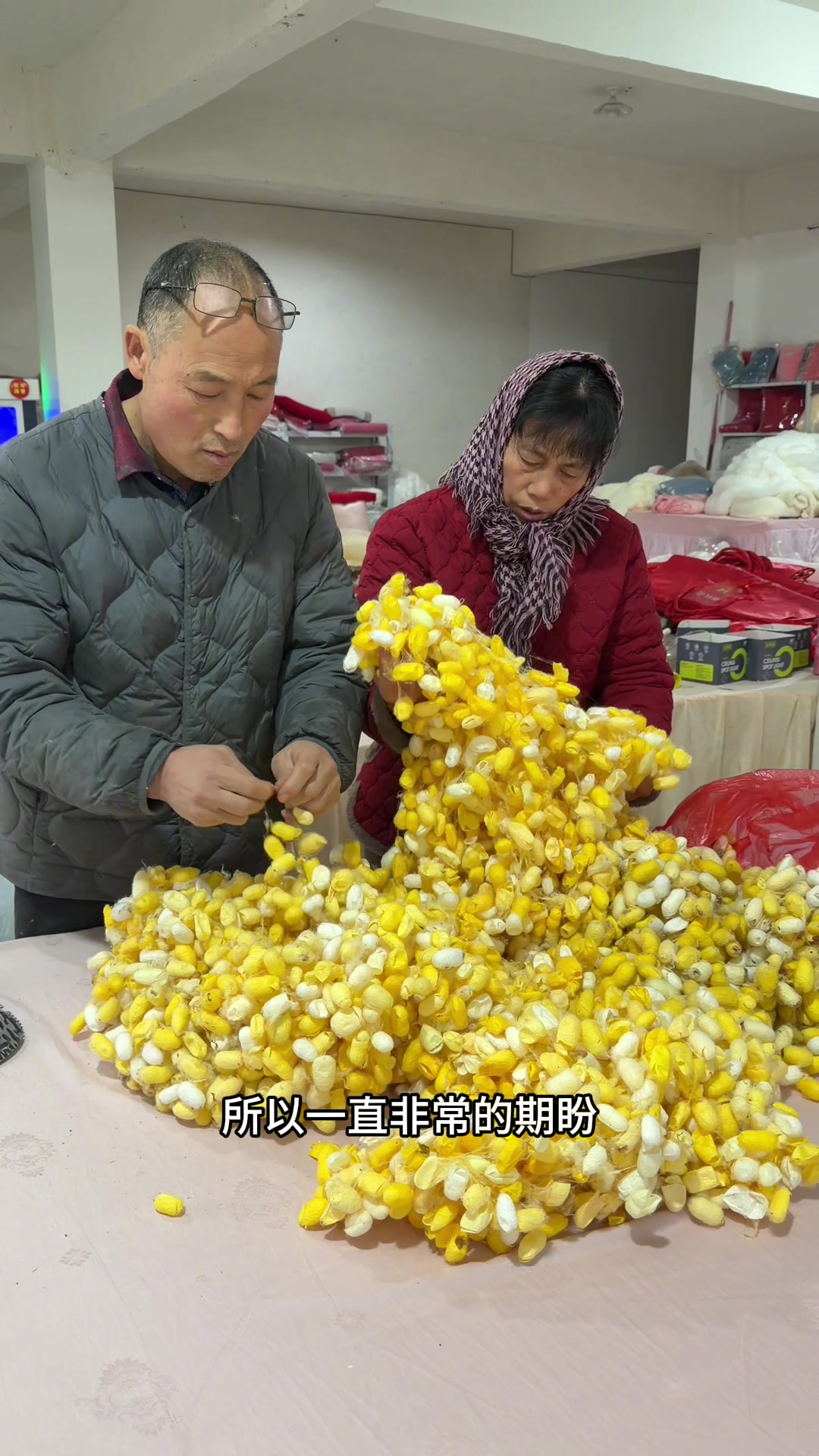 蚕茧如何做成蚕丝被(上) 前几天山东青岛的一位阿姨拿来了一大包自己...