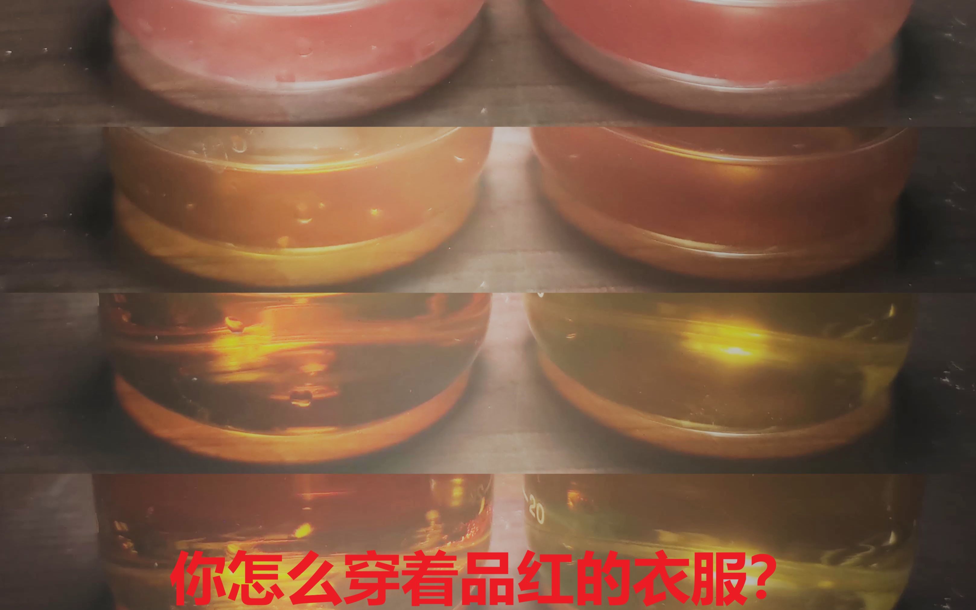 【不正经向】化学实验——硝酸使品如(划去)红的变色