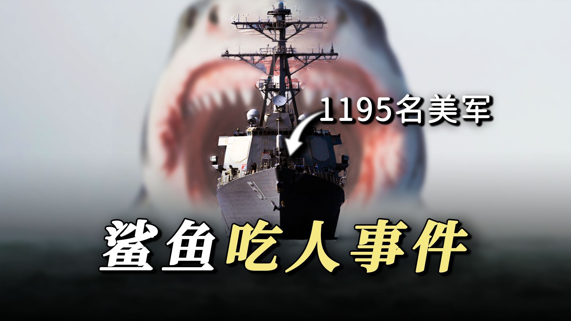 人类史上最大鲨鱼吃人案件,超过1195名美国士兵被鲨鱼分食,现场血腥...