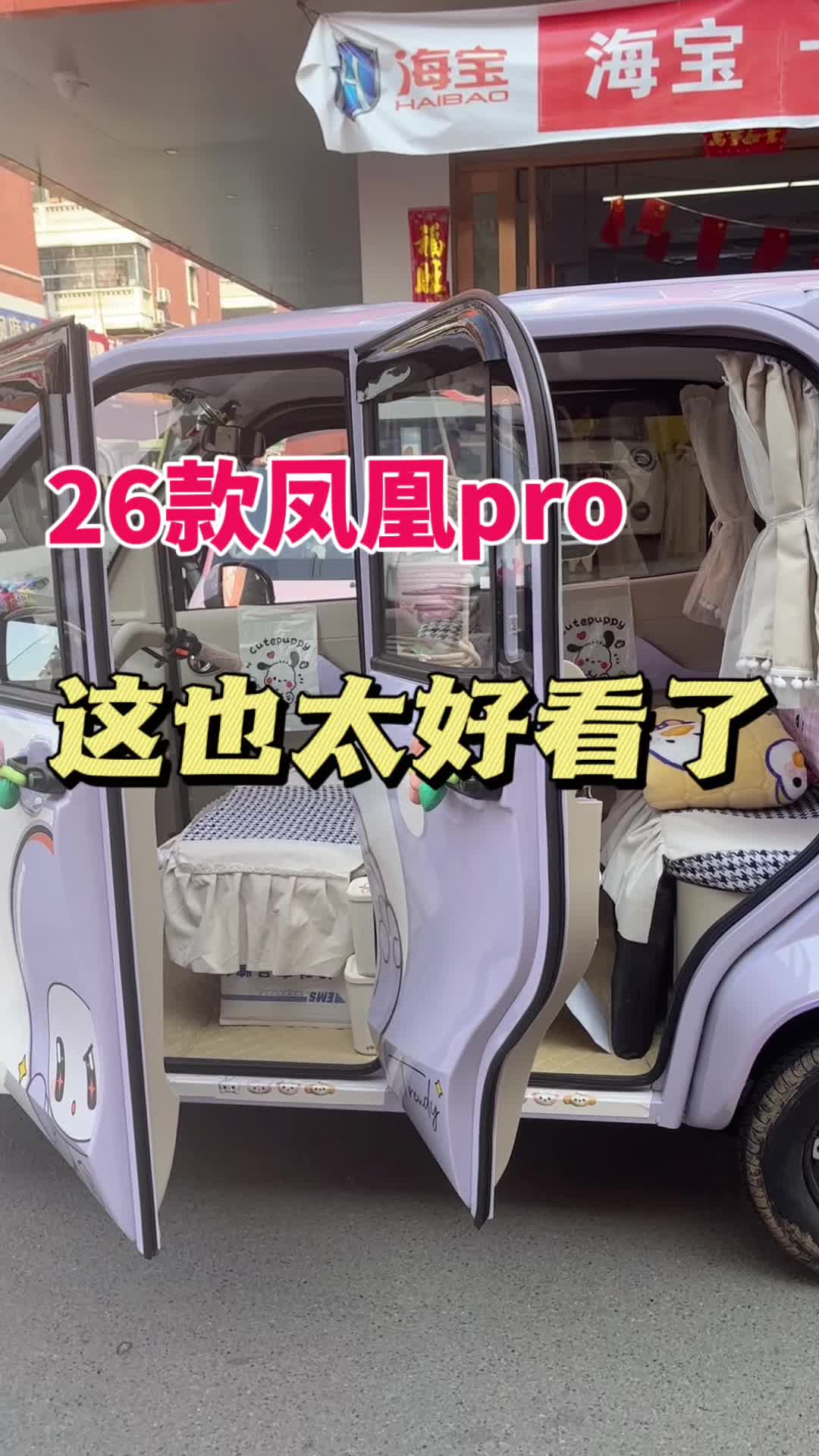 26款凤凰pro 三轮蓬车也可以温暖你出行#随州 #接送孩子上下学代步...