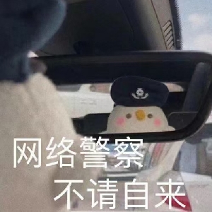 APEX橘子喂大象 