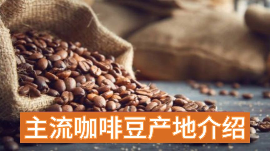 对当下的主流咖啡豆产地进行介绍分享,希望你喜欢。