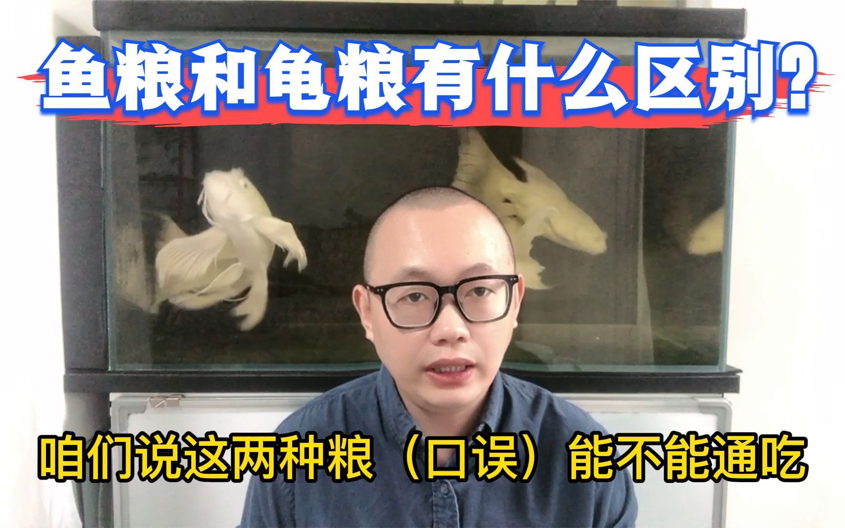 观赏鱼鱼粮和龟粮有什么区别?是否可以通用?