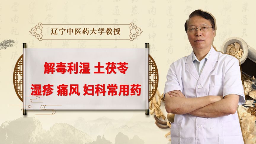 解毒利湿“土茯苓”—湿疹、痛风、妇科常用药!