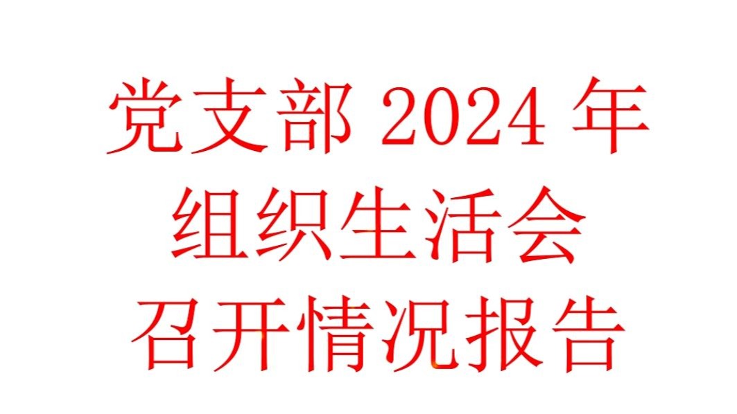 支部2024年组织生活会召开情况报告