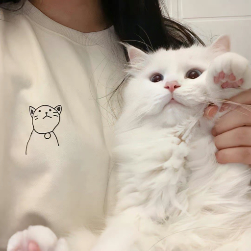 -月亮小鱼- 