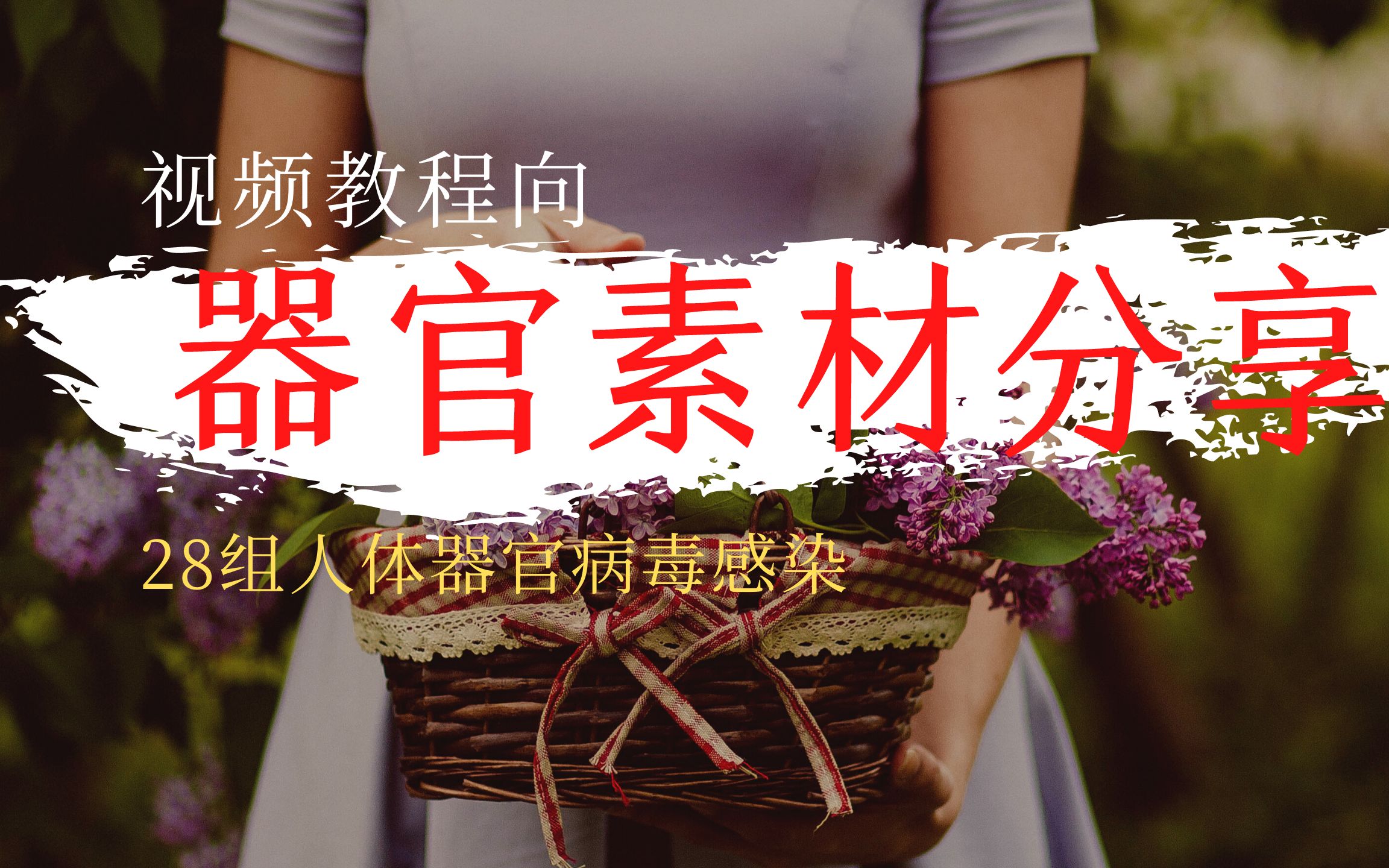 28个病毒细菌感染人体器官分享!