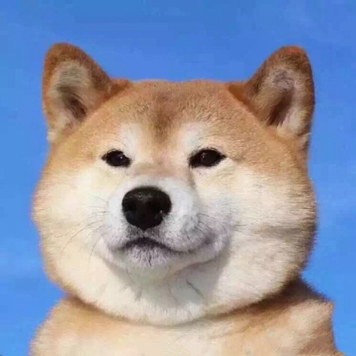 机智的史莱姆啊 