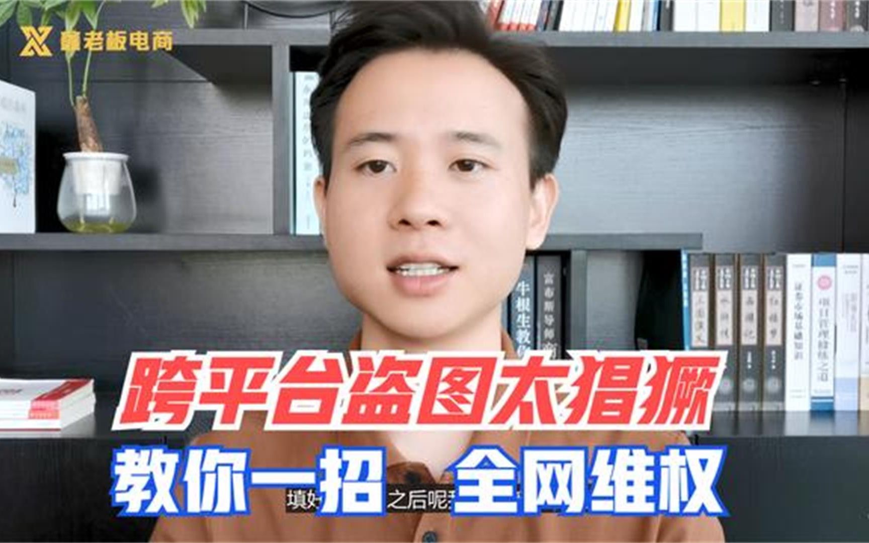 做电商开网店,被人跨平台盗图如何申诉?教你一招,做到全网维权