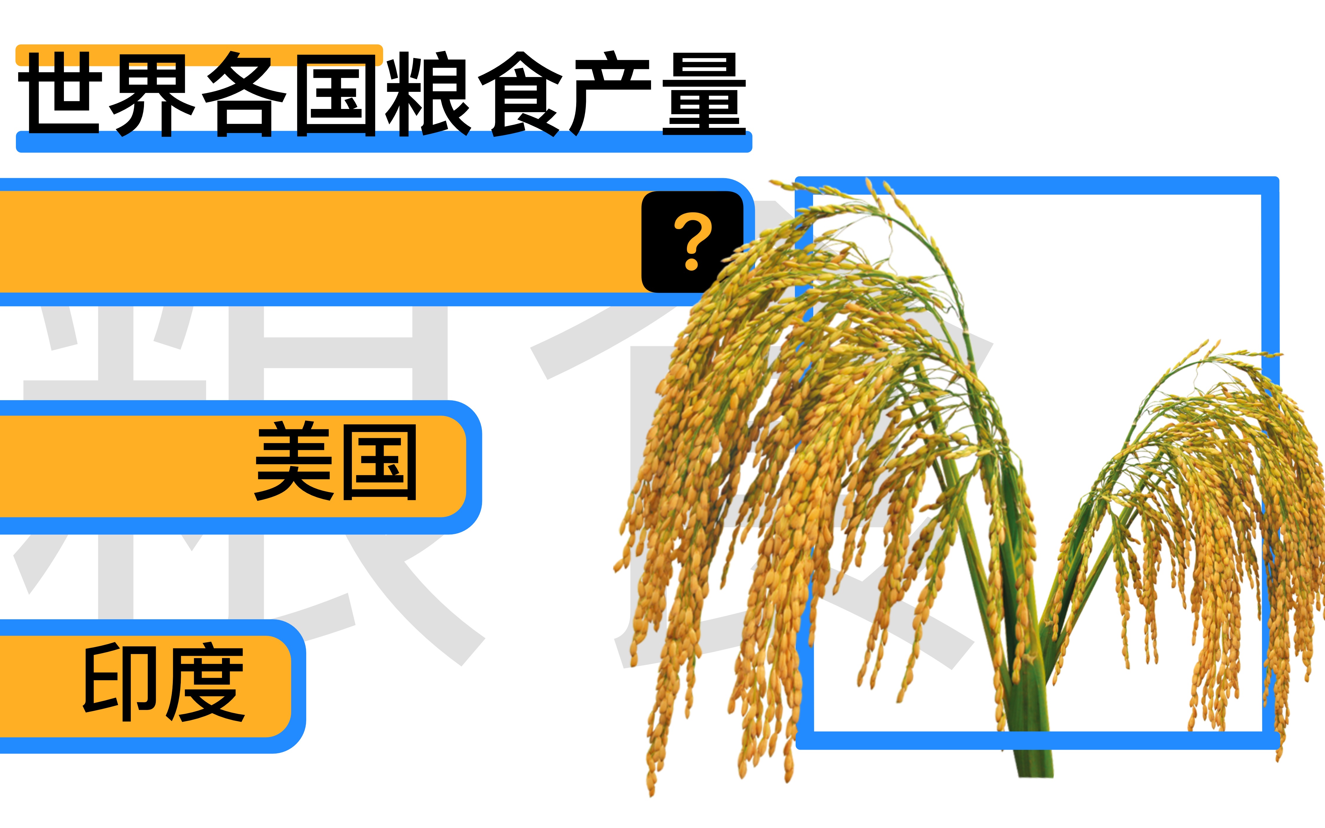 [数据动态可视化]谁家的粮食最多?