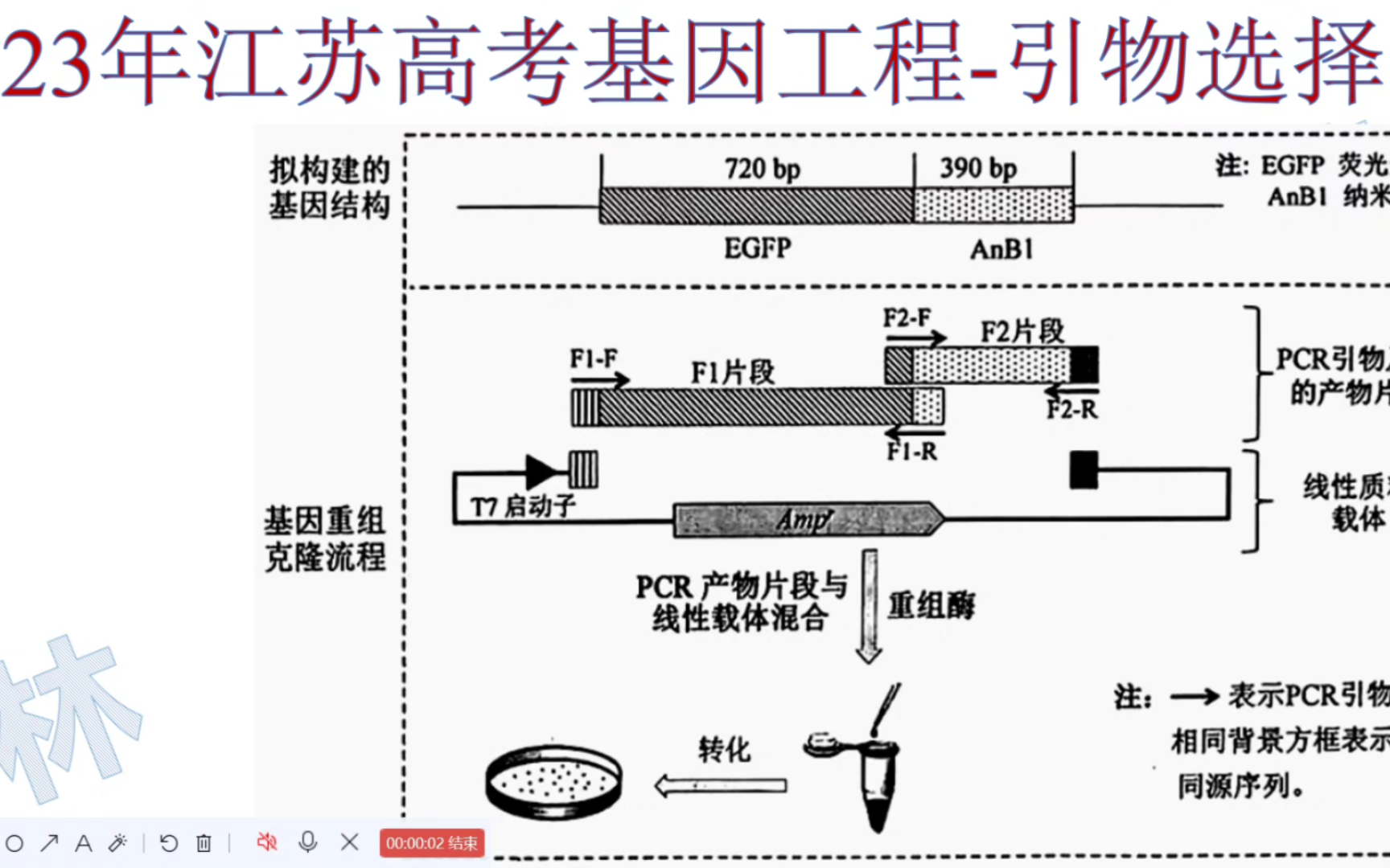 江苏省23年生物基因工程之引物选择