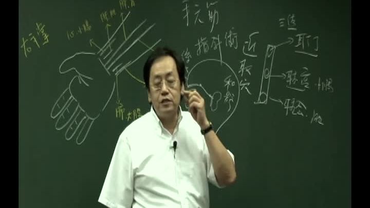 倪海厦-针灸 (47)足少阳胆经:瞳子髎穴,听会与上关穴,率谷穴