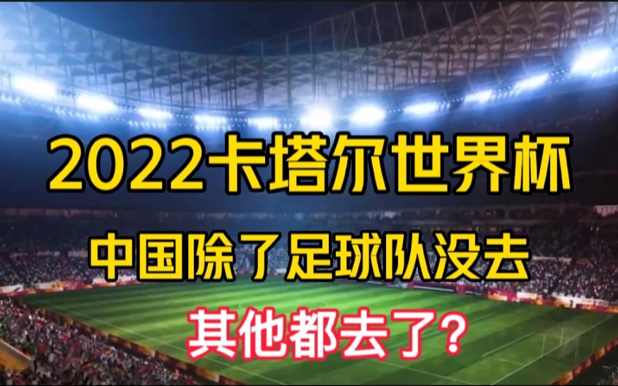 2022卡塔尔世界杯,中国除了足球队没去,其他都去了?