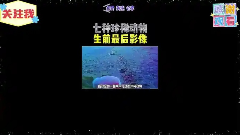 七种珍稀动物,你知道多少种?
