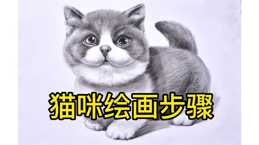 猫咪ߐ�绘画教程,看一遍就会画#画画 #教程 #猫咪 #素描动物
