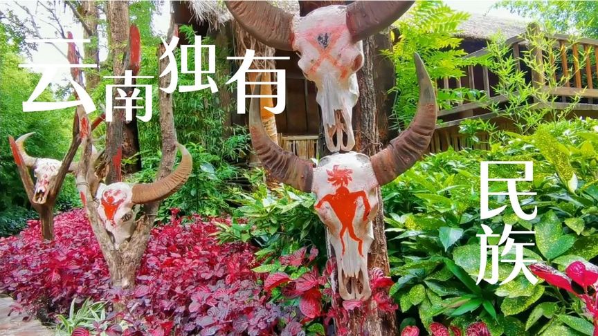 无需深入高山雨林峡谷,也能深度了解云南独有民族的文化风情习俗