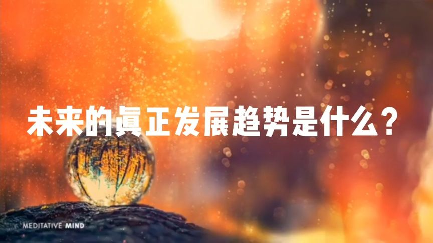 未来的真正发展趋势是什么?