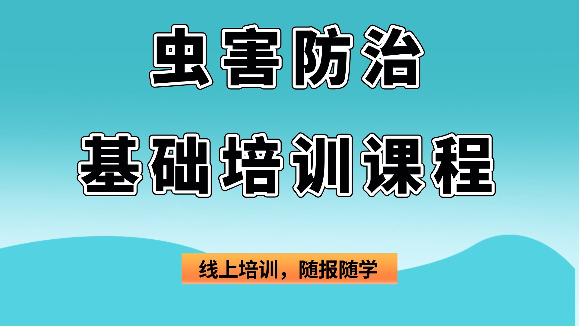 虫害防治基础培训课程
