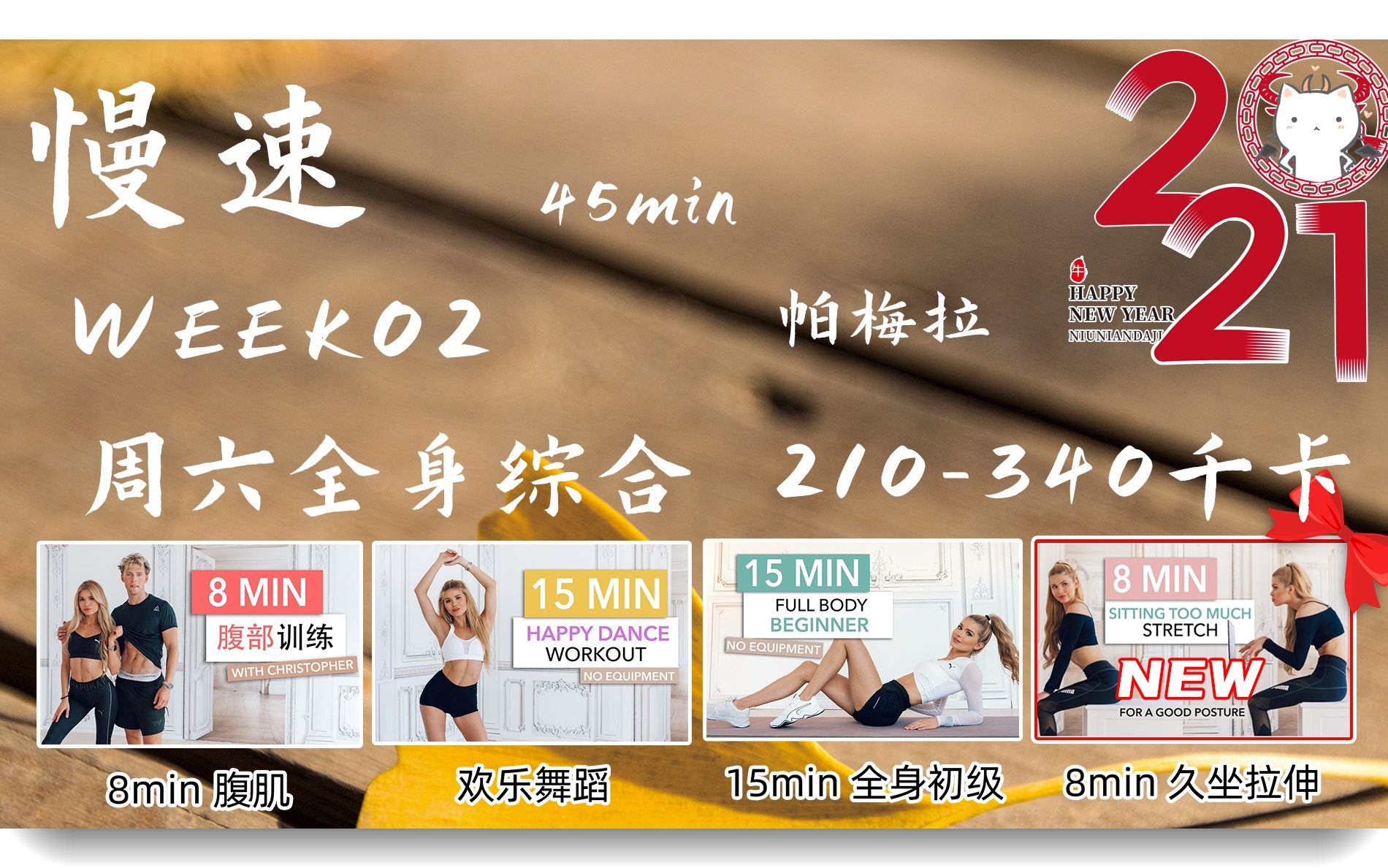 2021-02周 45min 周六全身综合 慢速 210-340大卡 Pamela Reif