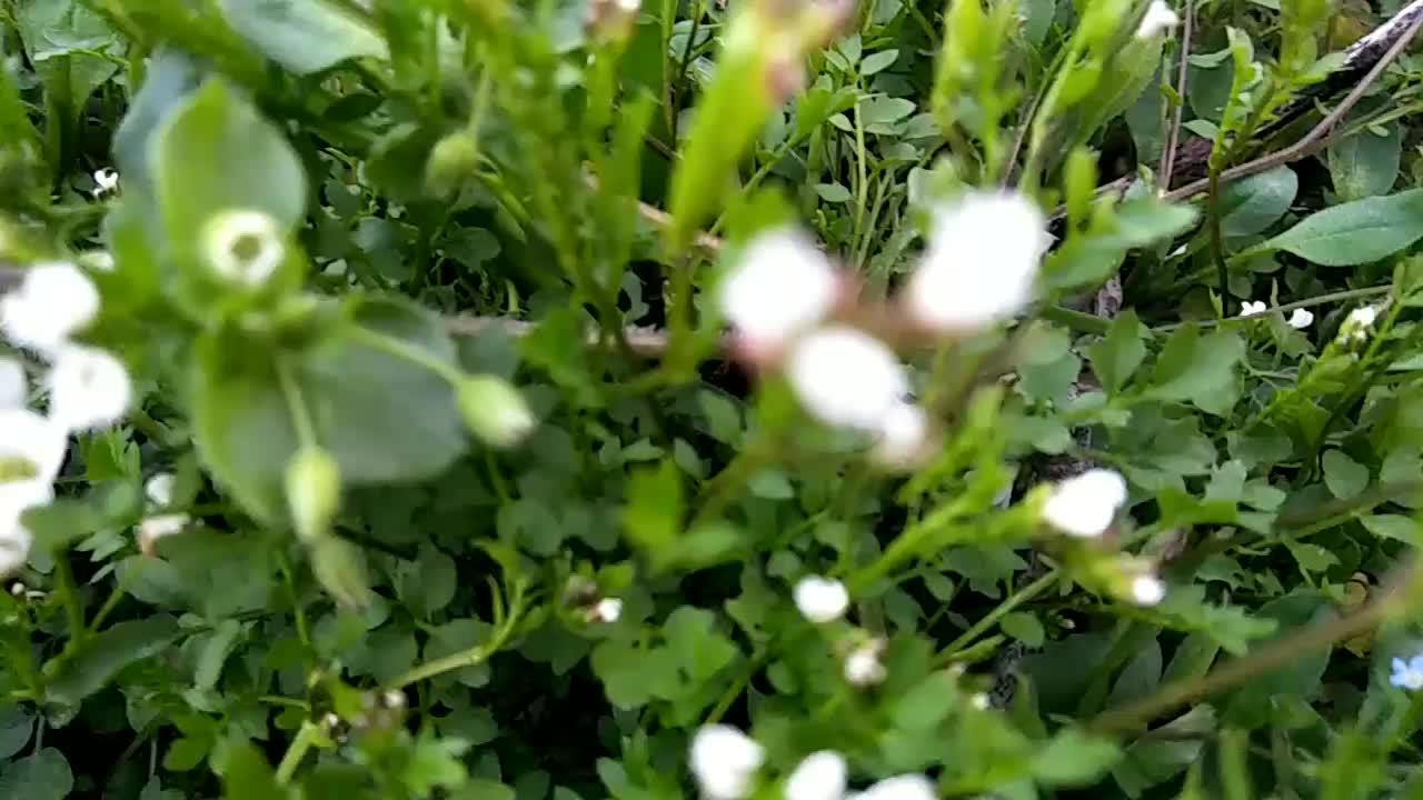 今年立春较早,正月初五马姐带你看春天~