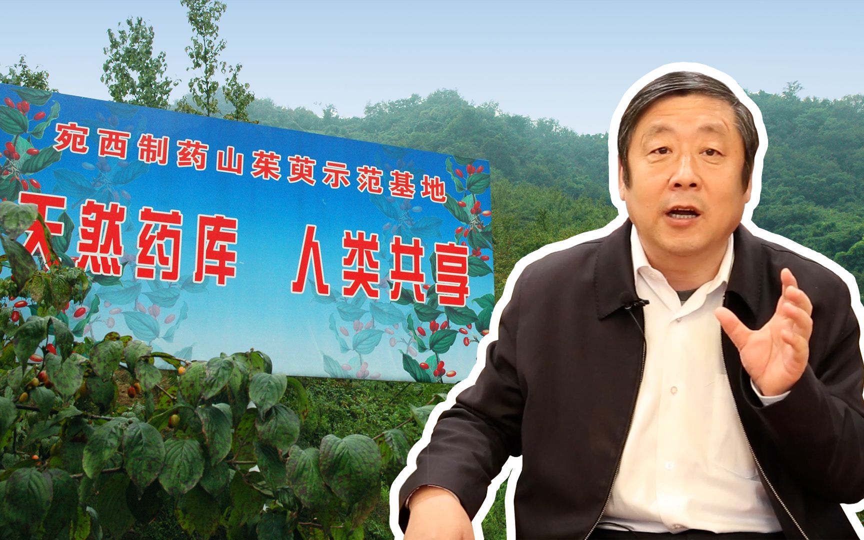 什么是道地药材