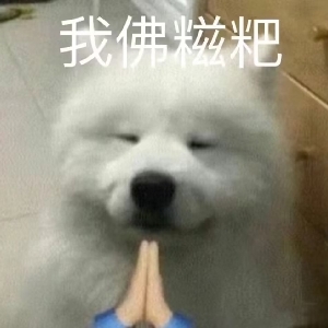 黑色醋栗 