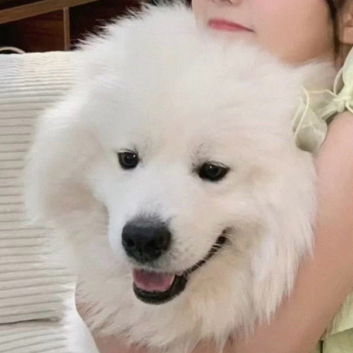 小陈爱璟 