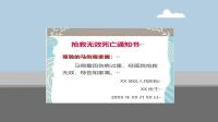 模拟法庭案例演示.mov
