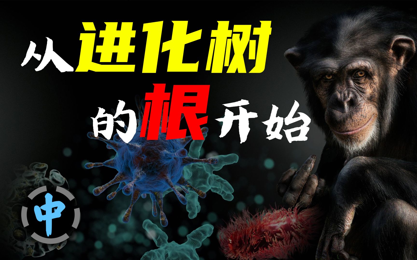 (中)在进化树上寻找人类,生物的详细分类。