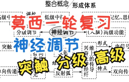 ...肌肉腺体接头分级调节人脑高级功能 新高考生物步步高全国新课标网课