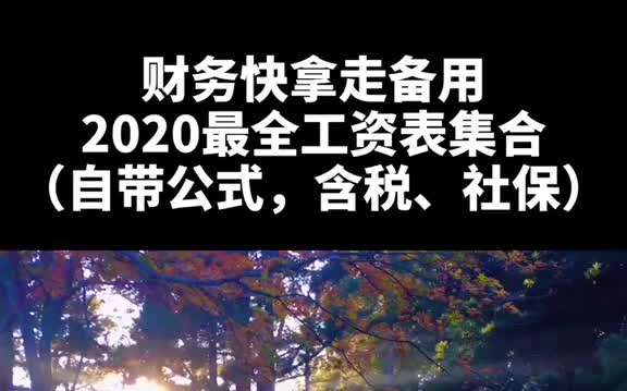 快快快,财务拿走备用,这可是最全的工资表集合,有公式,你懂的