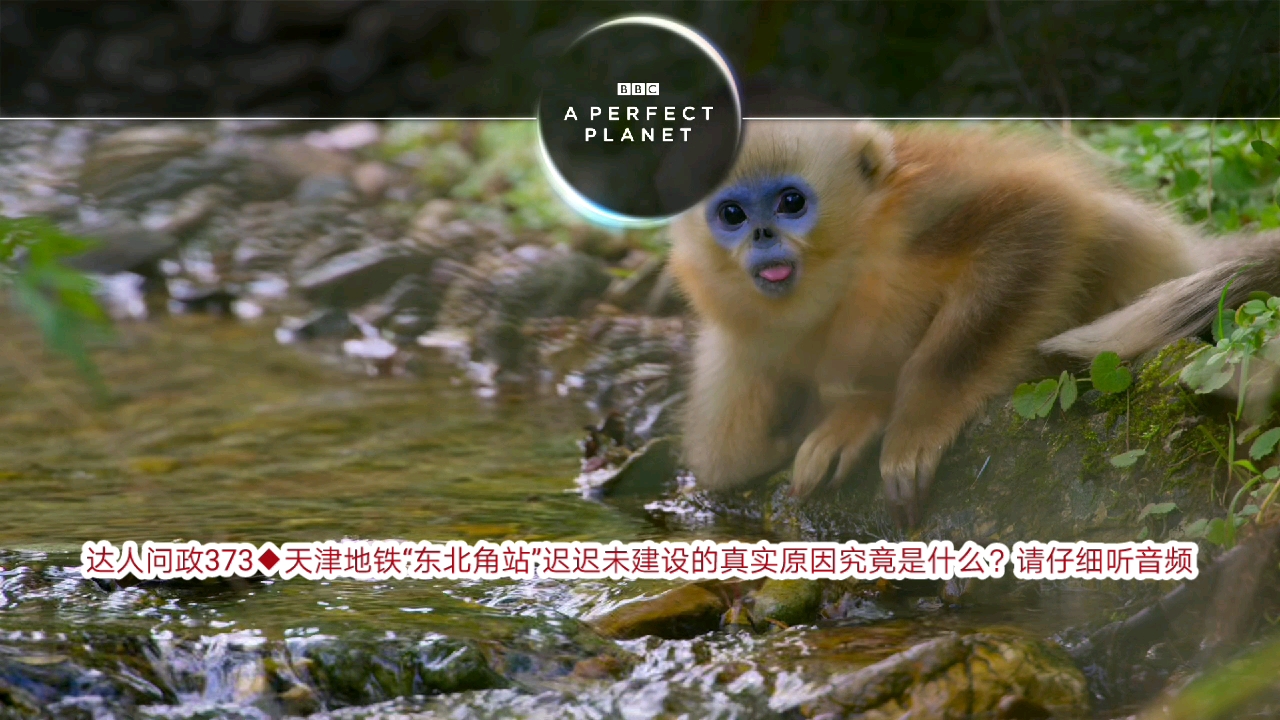 【达人问政】天津地铁“东北角站”迟迟未建设的真实原因究竟是什么...