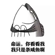 佐木敬良 