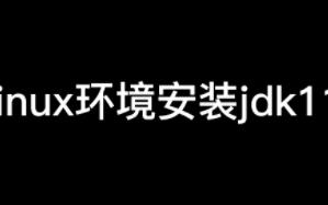 Linux单机安装JDK11