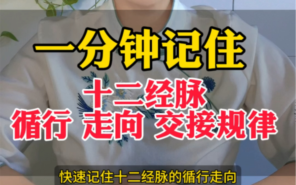 一分钟记住十二经脉循行走向和交接规律