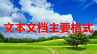 文本文档主要格式