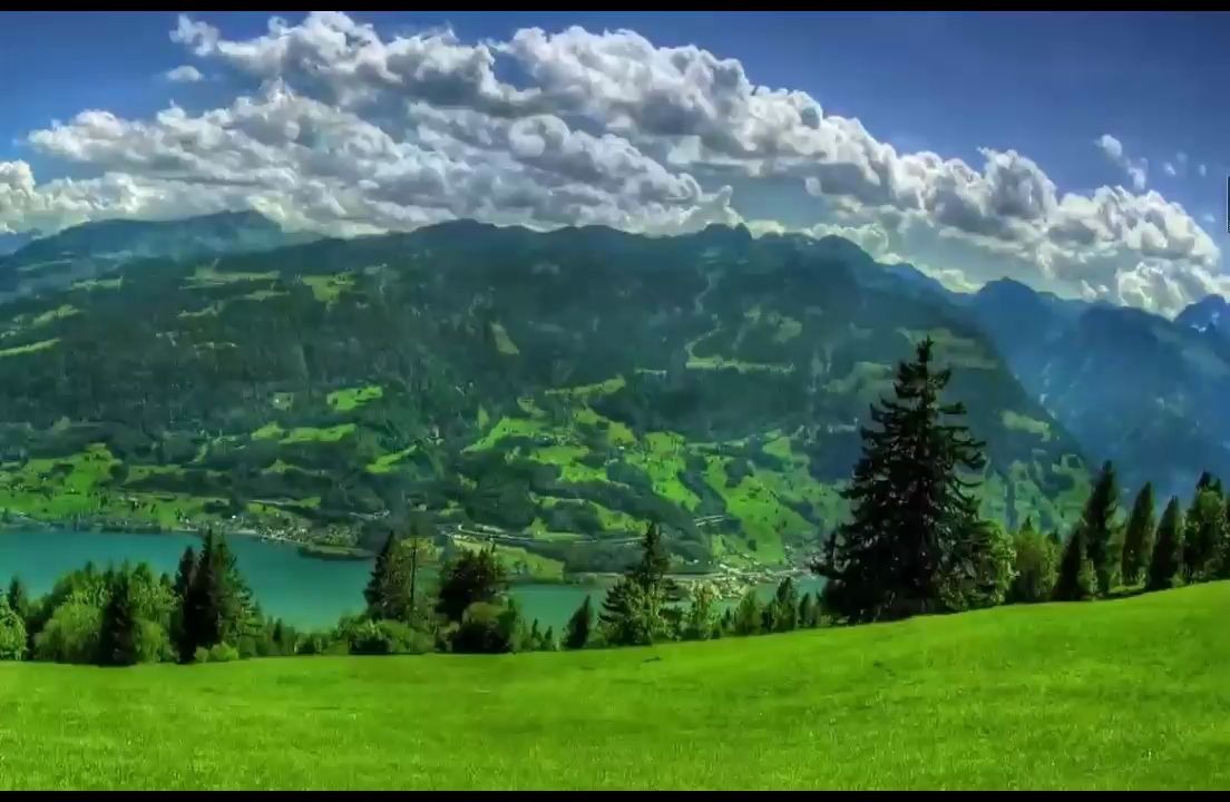 mt4的手数ea计算统计 外汇ea手数统计工具视频