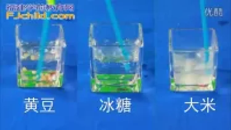 漳州市实验幼儿园微课《有趣的溶解》