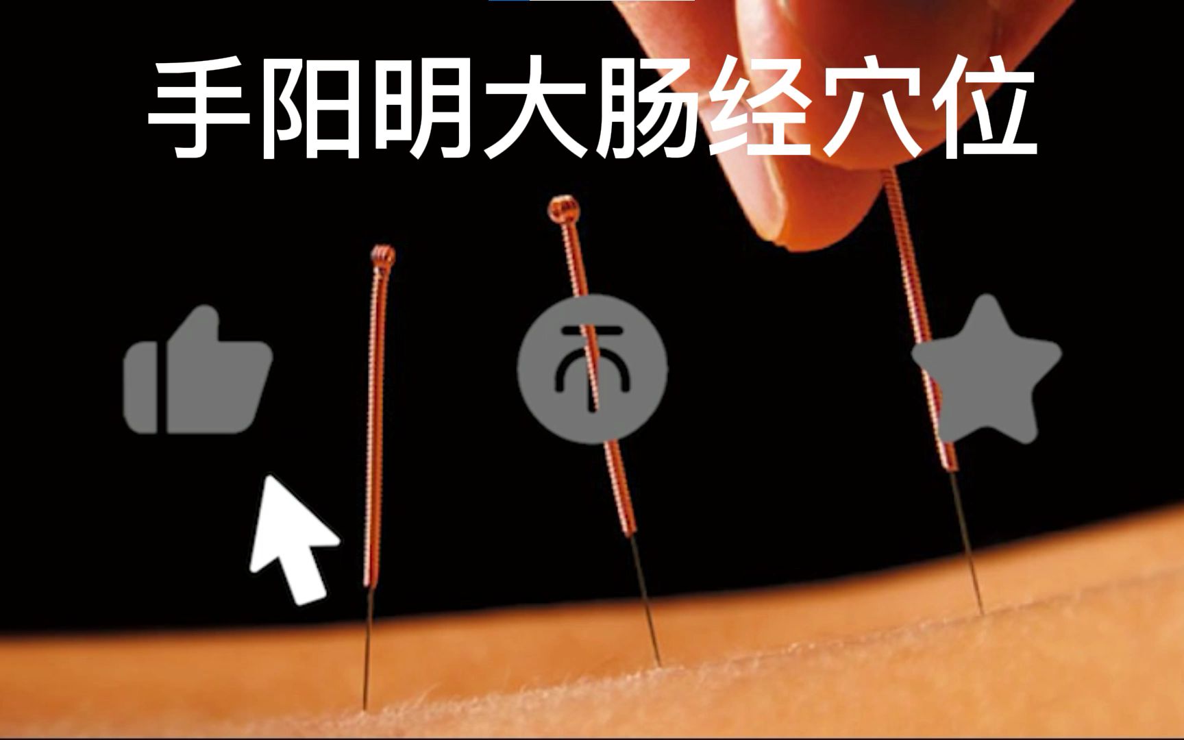 针灸穴位手阳明大肠经(三)