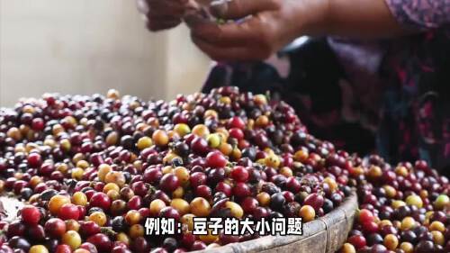 埃塞俄比亚咖啡的特点是什么?原生种传家宝是什么咖啡品种?