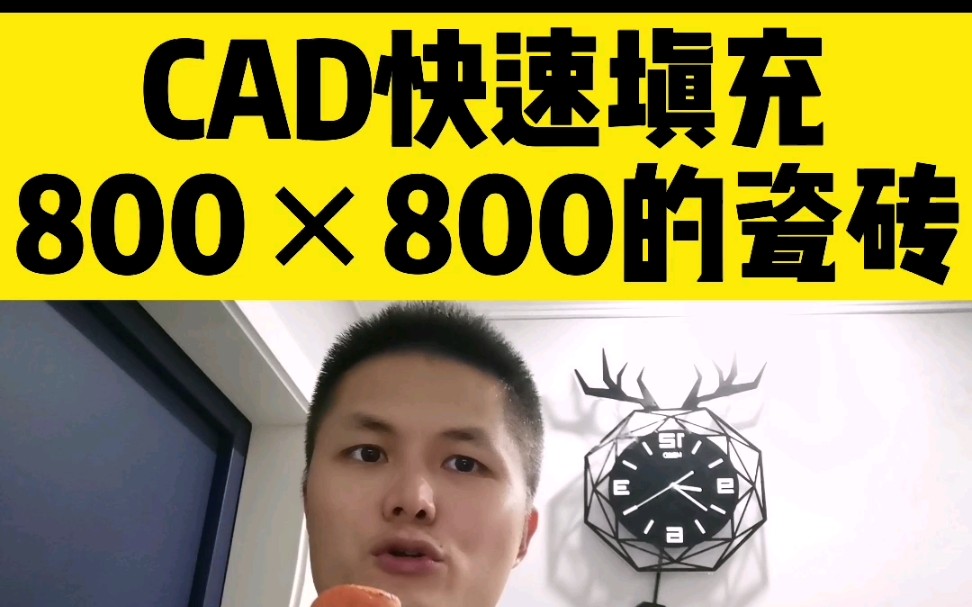 如何用CAD快速填充800x800的瓷砖?