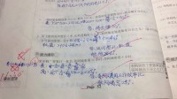 工作效率百分比