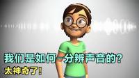 扬声器是如何工作的?我们又是如何分辨不同声音的