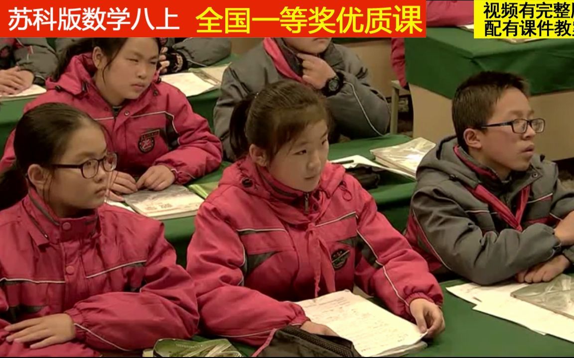 苏科版数学八上《一次函数、一元一次方程组和一元一次不等式》裴...